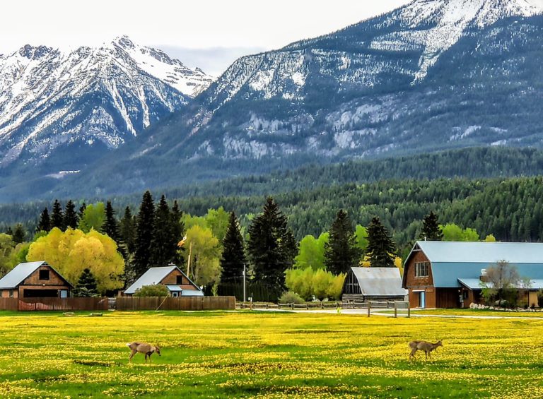 5 Benefits of Staying in Golden, BC - Instead of Banff or Lake Louise